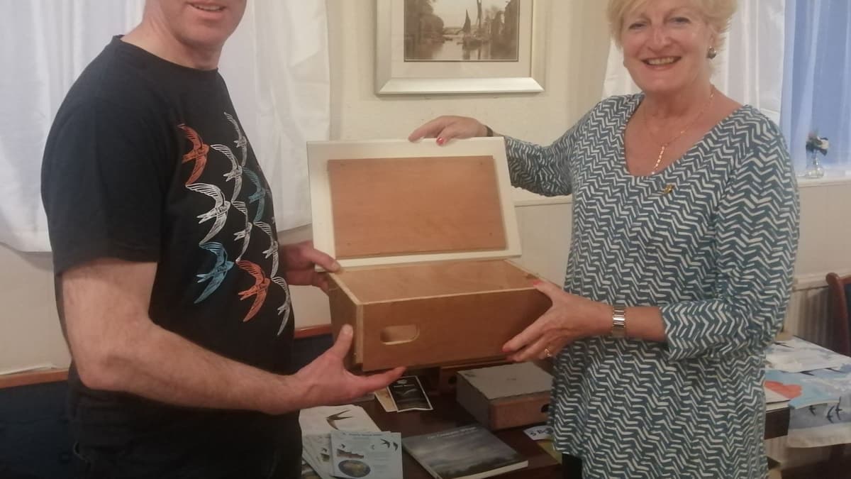 Can you help boost local swift population? | dartmouth-today.co.uk