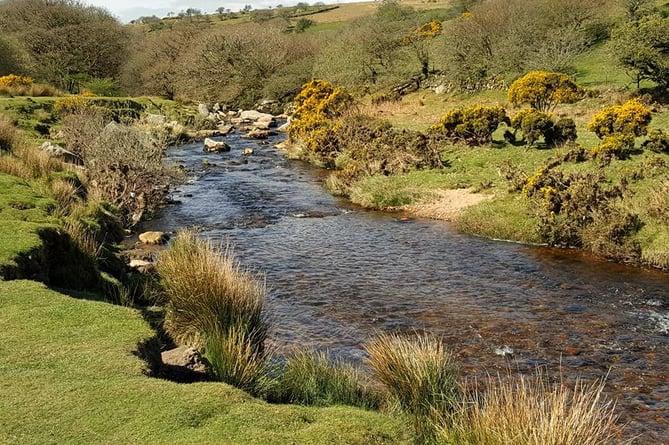 96% of English bathing waters meets required water quality standards ...