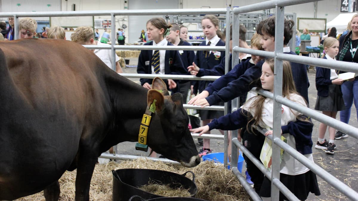 Children have been getting 'Farmwise' in Devon for 10 years | dartmouth ...