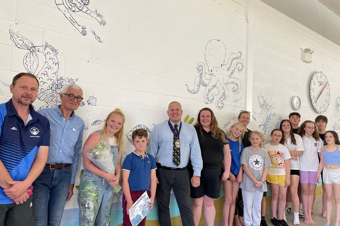 Dartmouth Indoor Pool Trust commissioned local artist Els Doodle to ...
