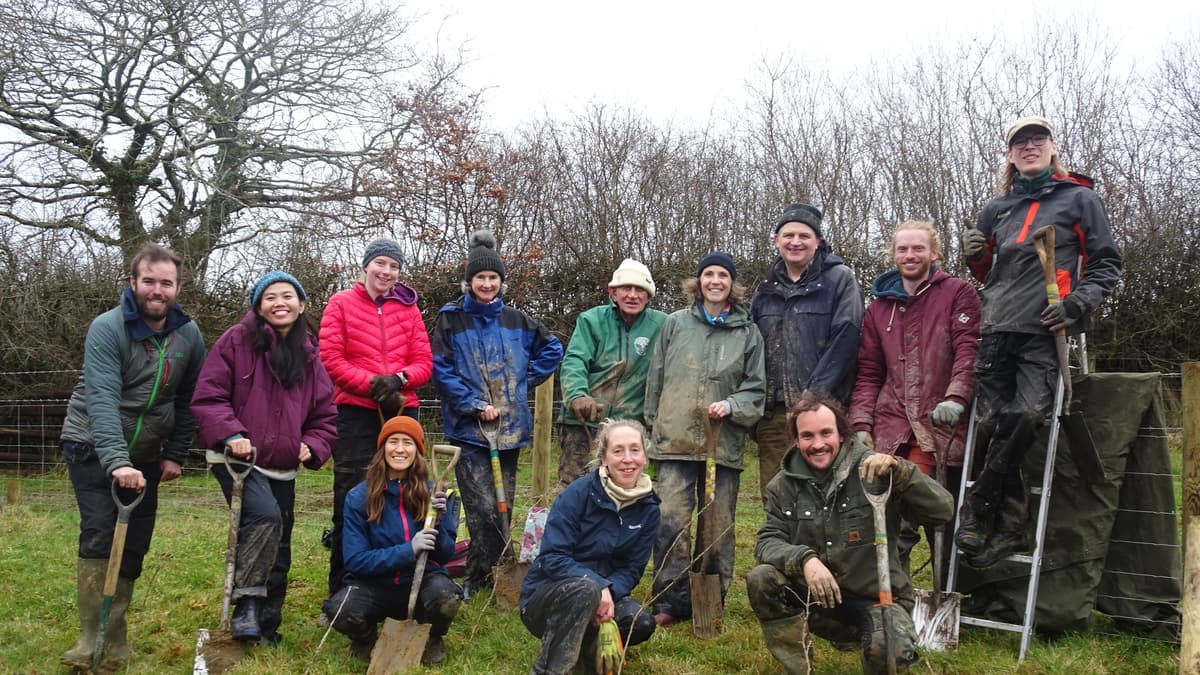 Moor Trees launches crowdfunder to plant a tree for every Dartmoor ...