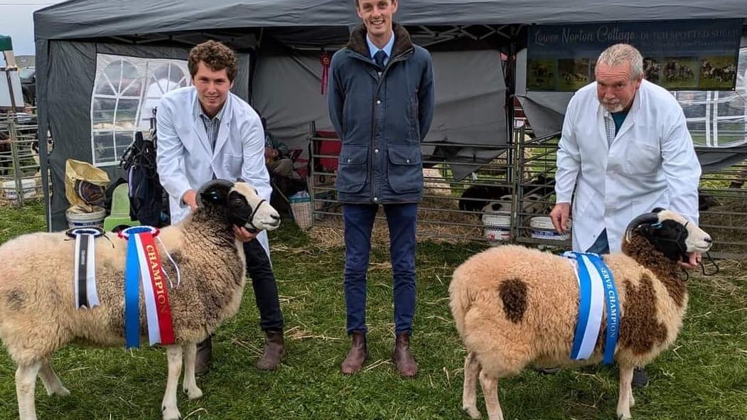 The Kingsbridge Show a major date in the local diary | dartmouth-today ...