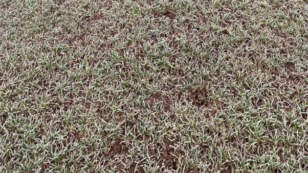 Frozen pitch thwarts Dartmouth AFC in the Devon Football League ...