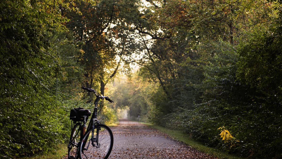 Devon’s 'transformational' cycling plans approved | dartmouth-today.co.uk