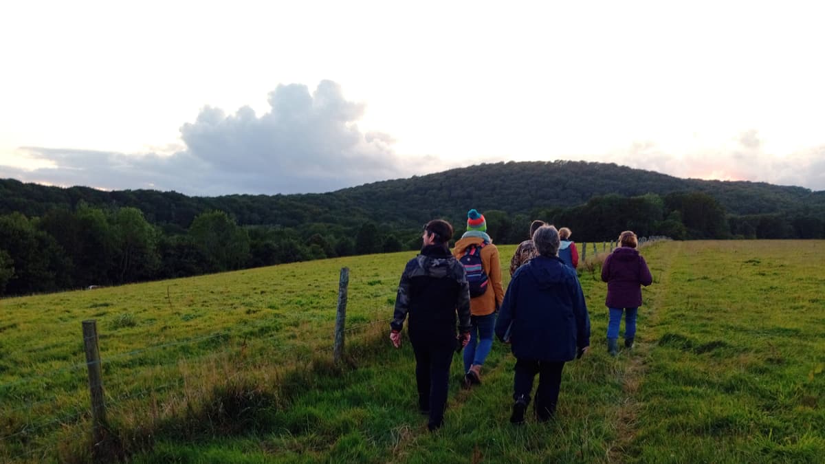 Explore regenerative farming at Old Parsonage Farm this Sunday ...