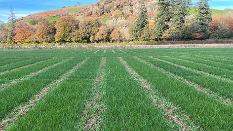 Explore ProCam's new forage trials | dartmouth-today.co.uk