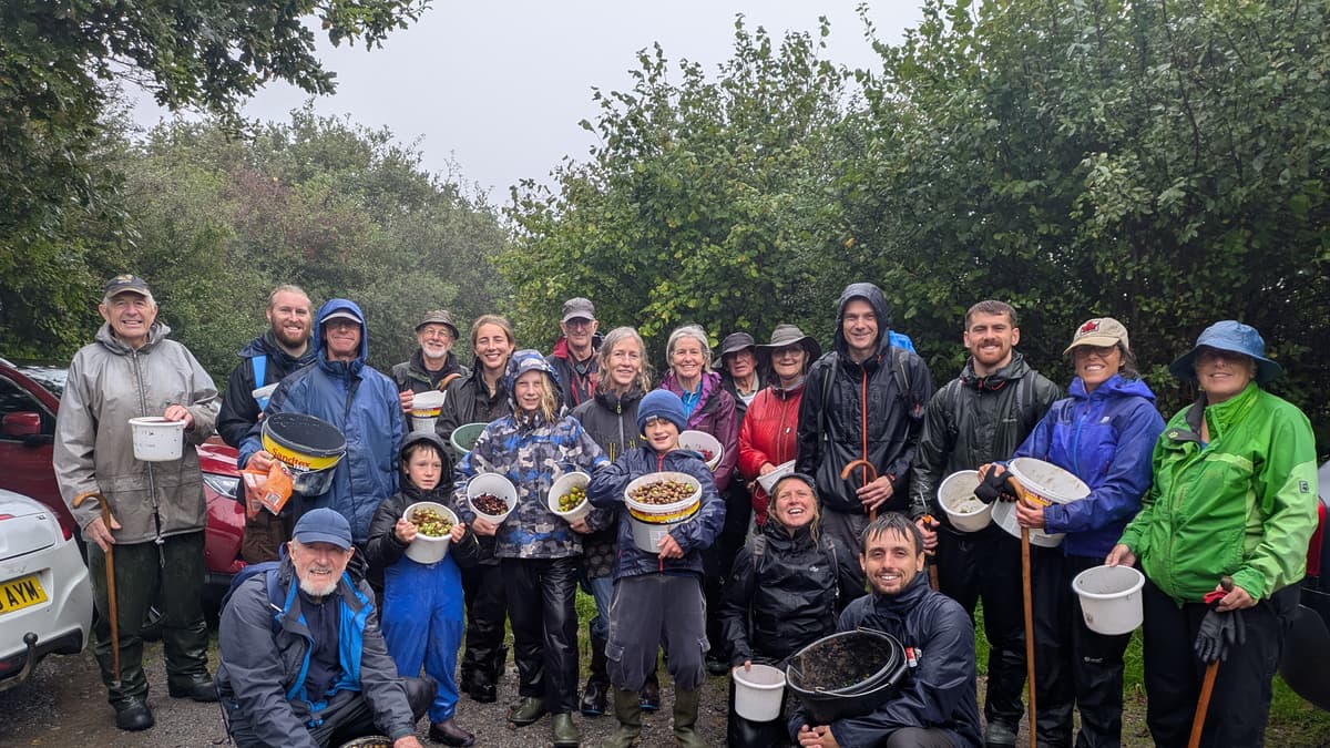 Moor Trees Volunteers Gather 343,500 Seeds to Boost Dartmoor Woodlands ...