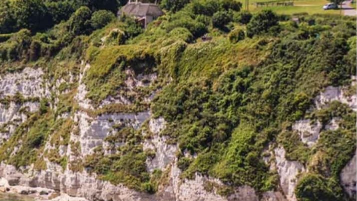 Devon Councils Propose £500 Million Savings with Unitary Authorities ...
