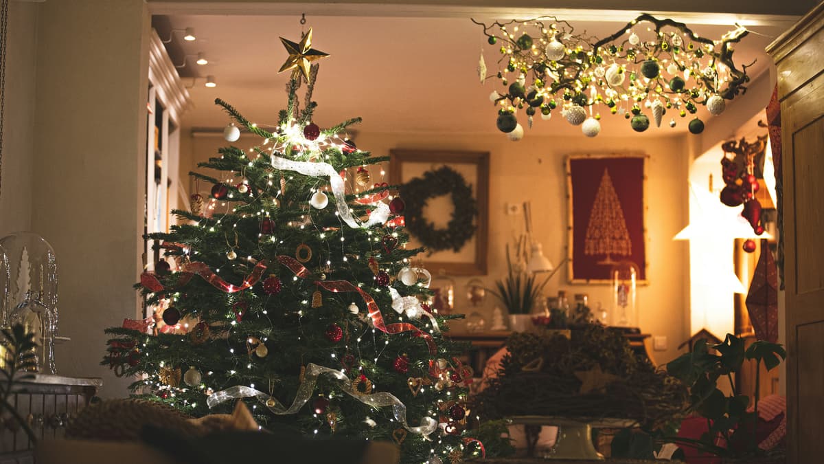 Support Rowcroft with eco-friendly tree recycling | dartmouth-today.co.uk